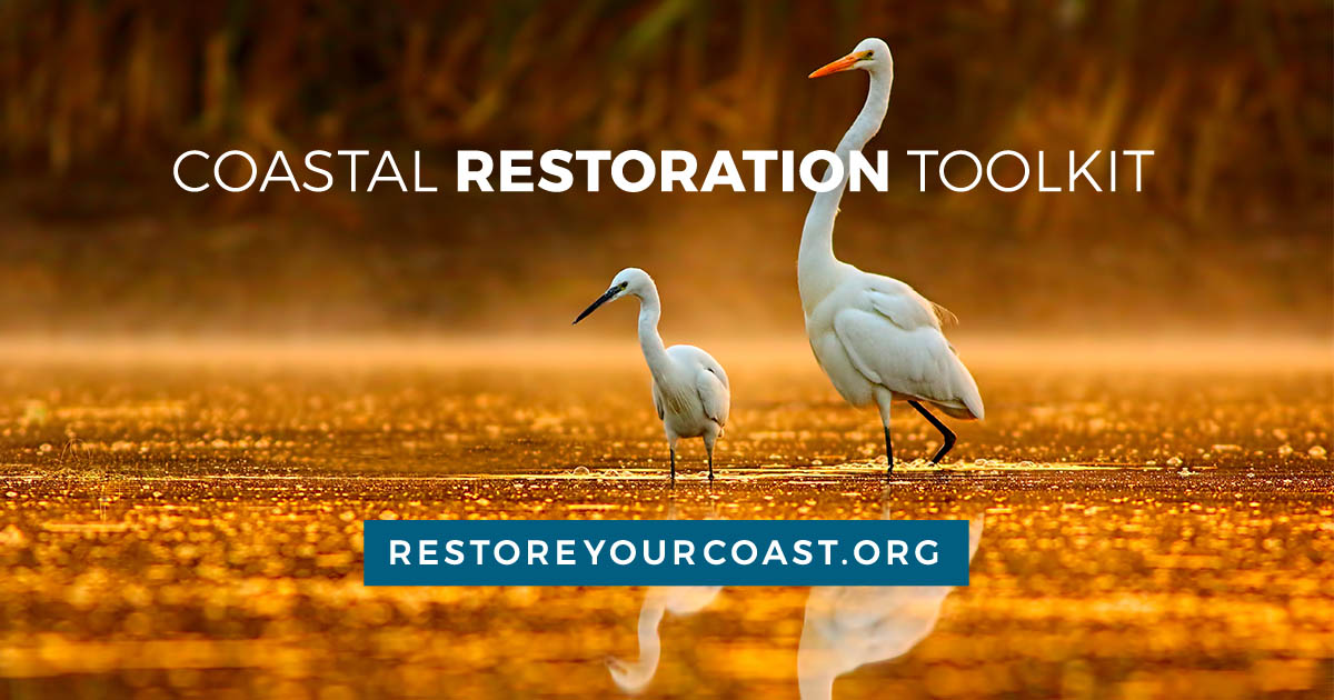 Wildlife & Fish Habitat Restoration · Coastal Restoration